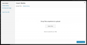 3 Ways To Add Images to a Blog Post in WordPress
