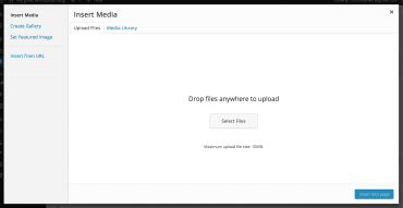 3 Ways To Add Images to a Blog Post in WordPress